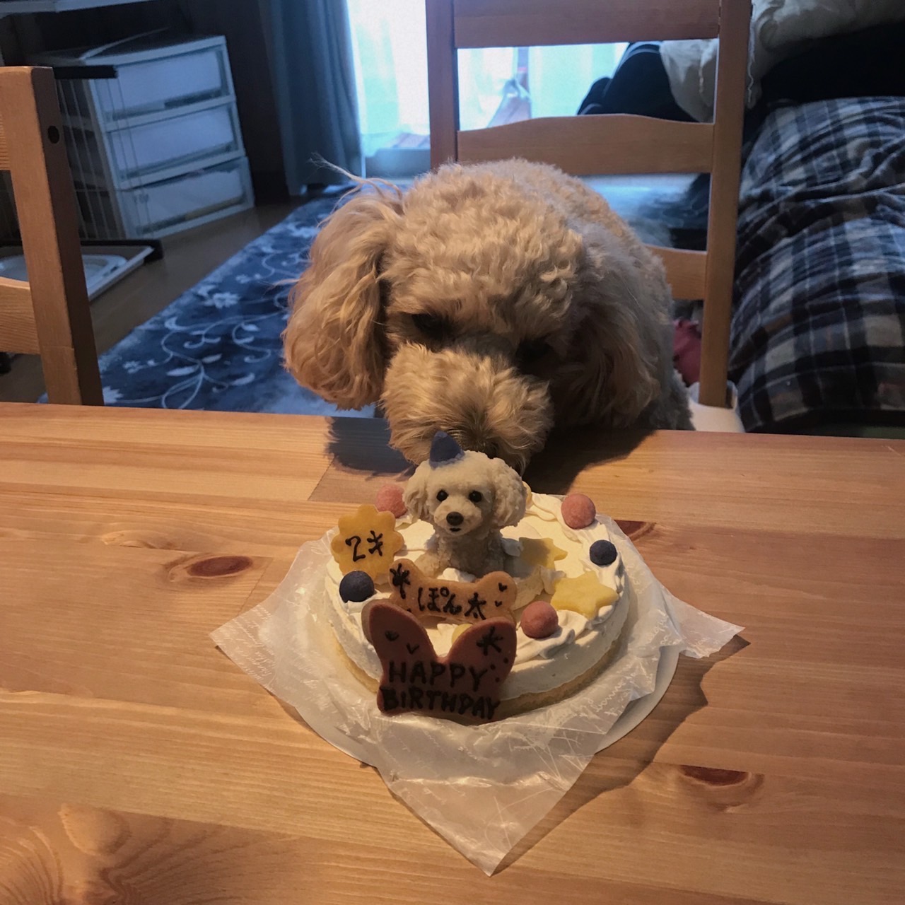 【kuoca (クオカ)】韓国のアワード受賞の人気商品TOP5！ - 韓国とドラマと私